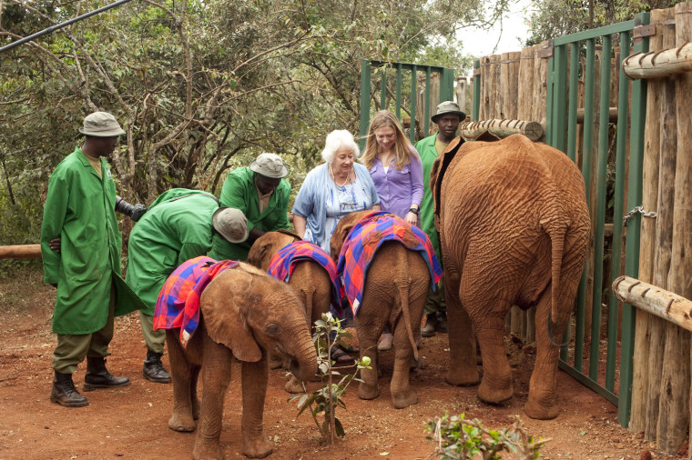 Elephant orphans thrive at Kenyan orphanage