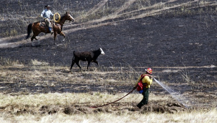 Wildfires burn Western states