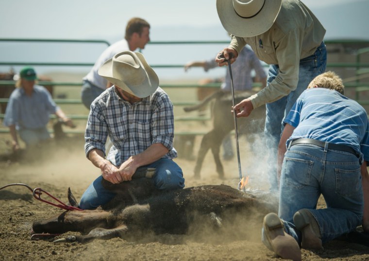 These cowboys ride ‘in tune with nature’