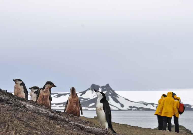 Antarctica: Journey to the bottom of the Earth