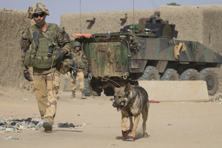 Animal Tracks: April 3 -10