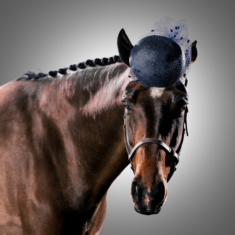 Horses in hats! Racing season starts with some equine fashion fun