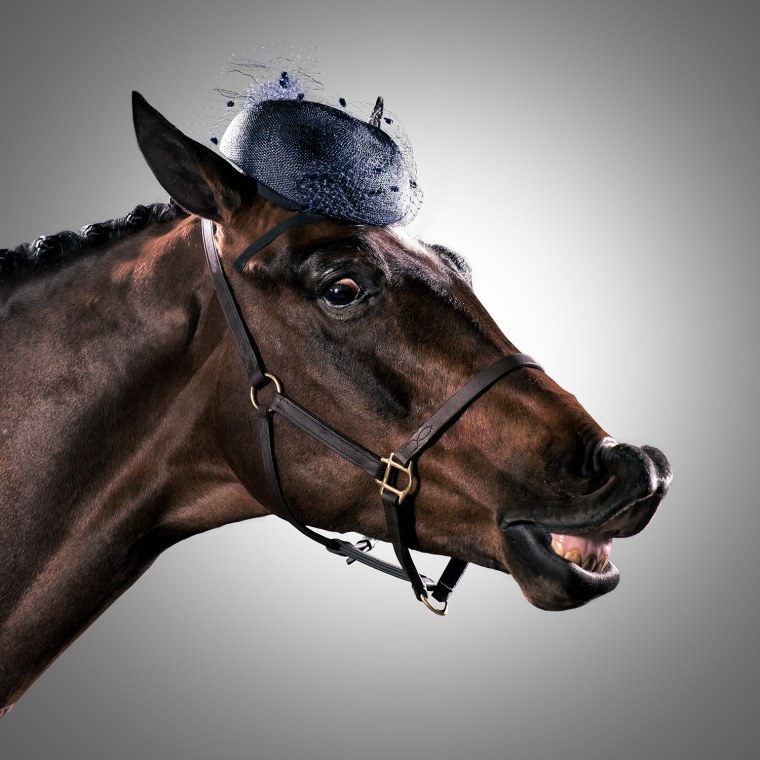 Horses in hats! Racing season starts with some equine fashion fun