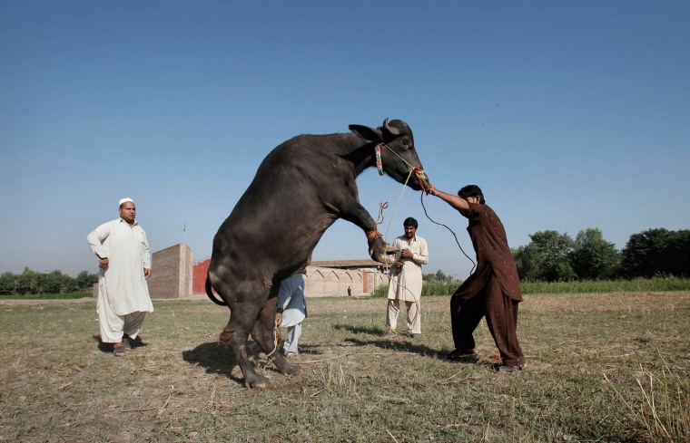 Pakistan: A nation in turmoil