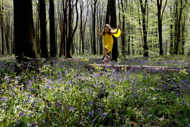 Springtime bliss