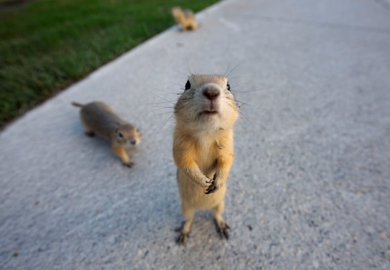 Winners archive: 2013