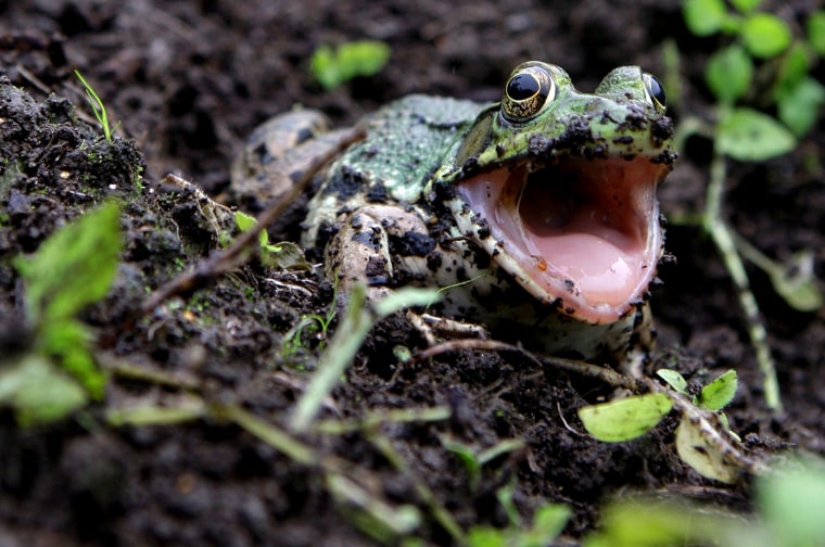 The Week in Pictures