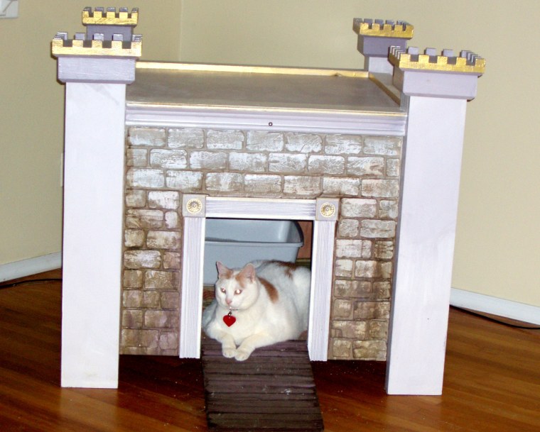 A drama-free life for Prince Chunk the cat