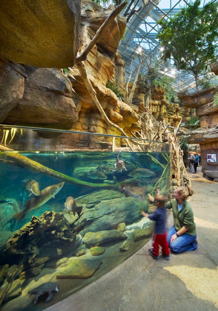 America’s best aquariums
