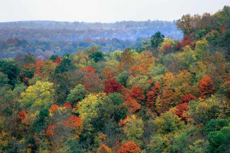 Worthwhile scenic fall foliage drives