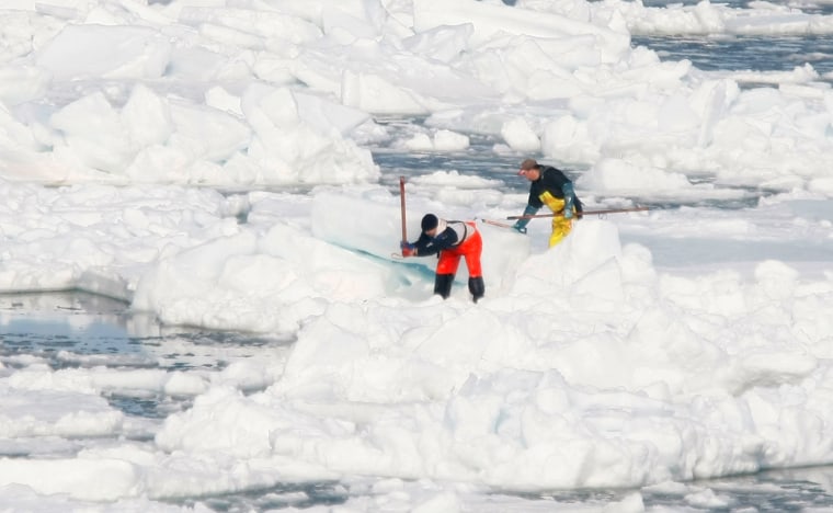Ban on spiked clubs urged in Canada seal hunt