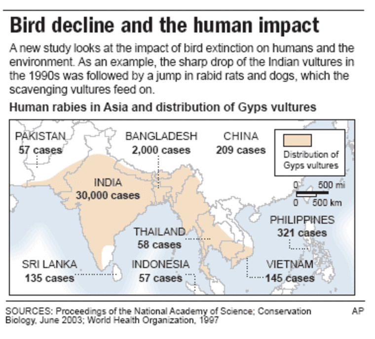 1 in 10 bird species faces extinction by 2100