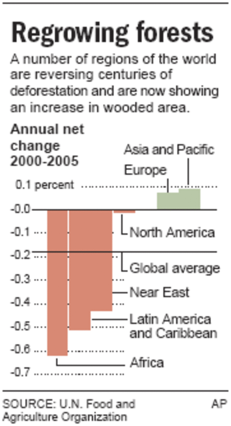 is deforestation increasing