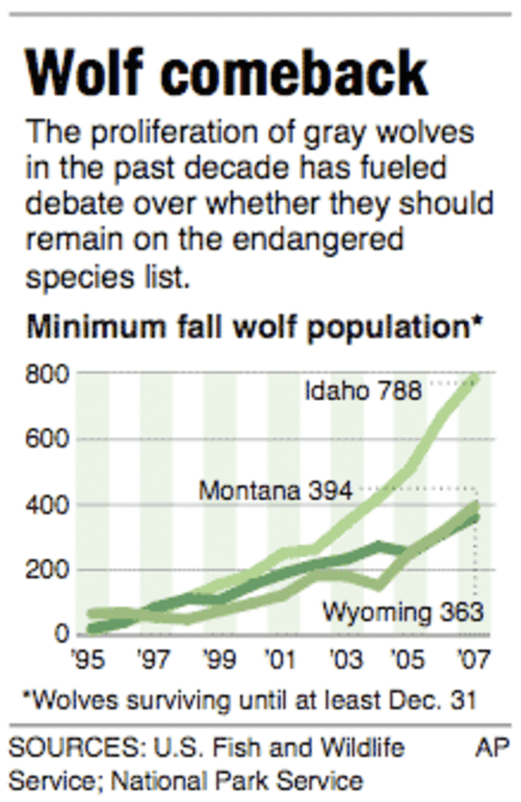 Gray wolf may lose endangered species listing