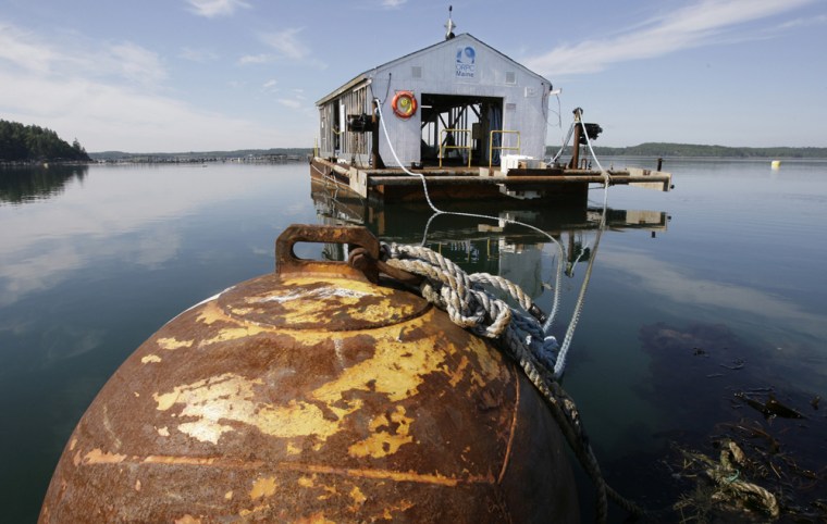 Maine offers testbed for power from tides
