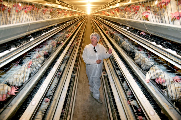 California may require more space for hens