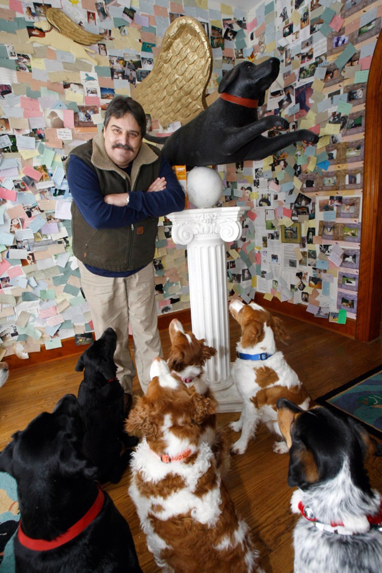 Bow ... wow! Dog chapel draws animal lovers