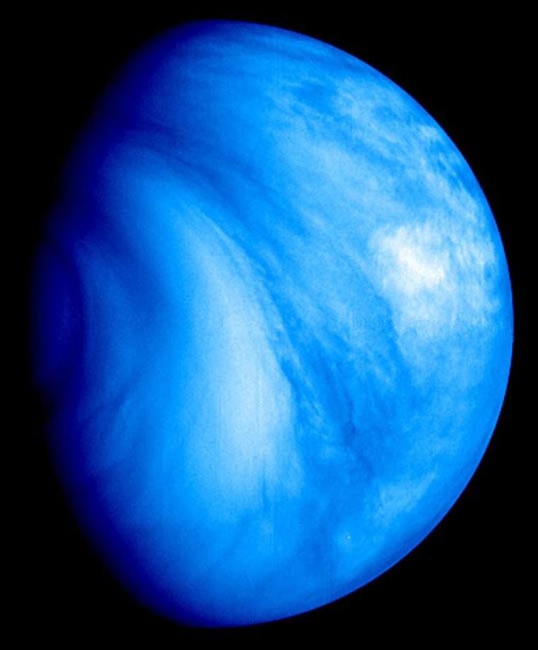 the venus hypothesis