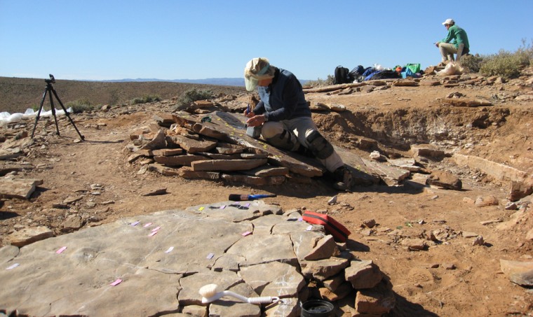 Early life on Earth: Lots of sex and no predators