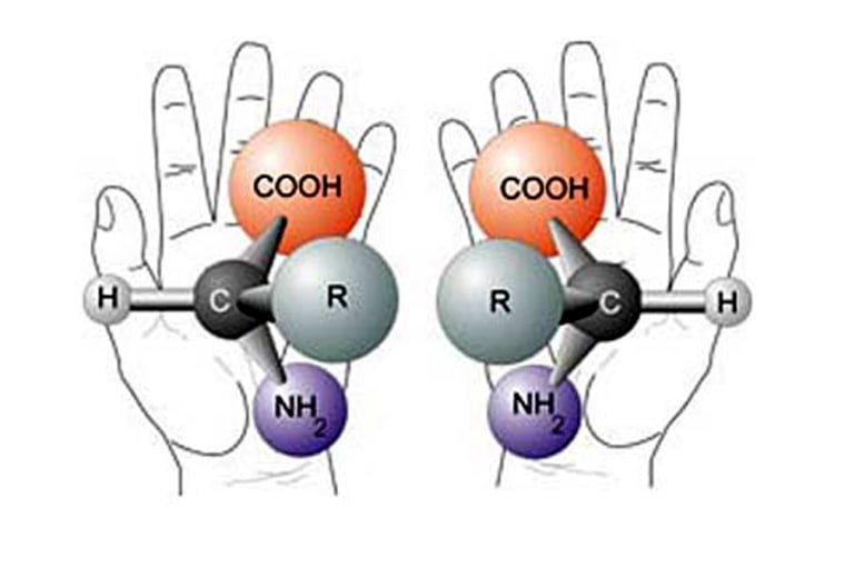 How life became left-handed