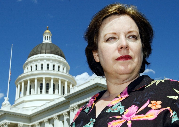 Unlikely activist at center of e-voting furor