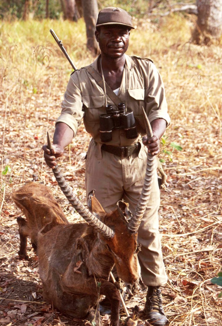 How overfishing hurts African wildlife