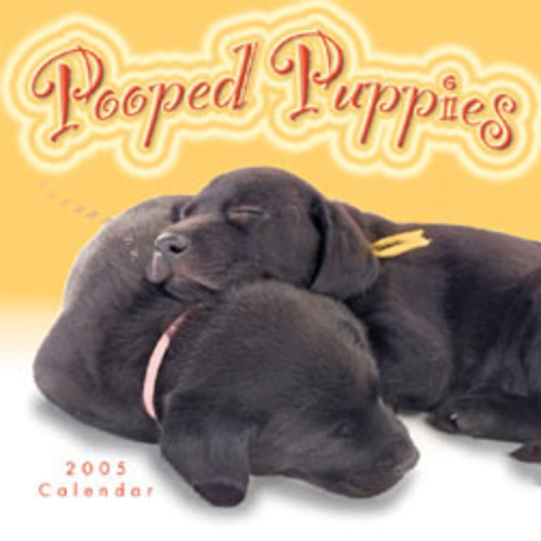 Top 10 calendars for 2005