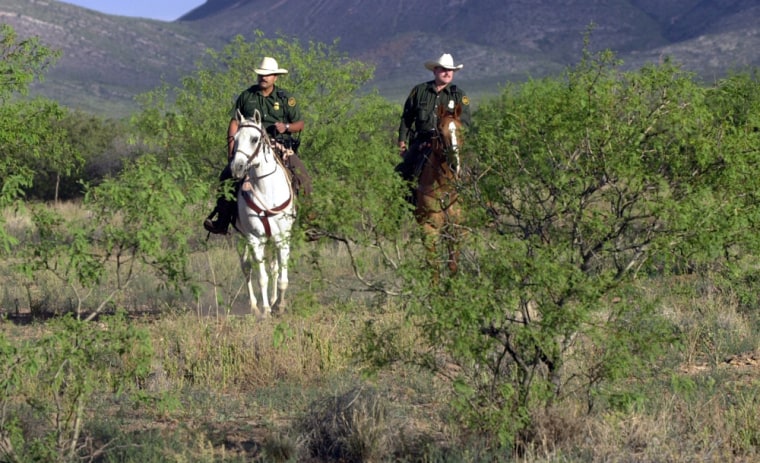 Border Patrol horses on environmental diet