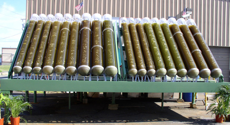 Airbus, partners eye lots of biofuel by 2030