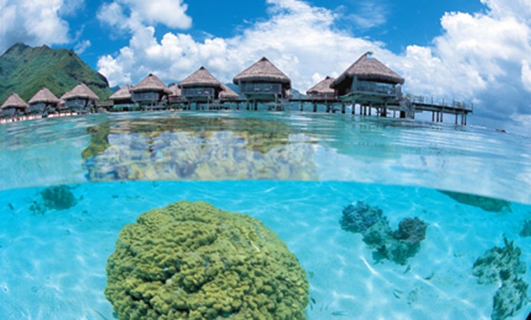 8 Pacific dive legends