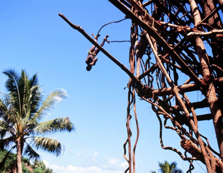 Tiny island of Vanuatu ranked as happiest place