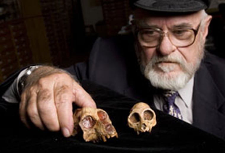 Prehistoric primate wasn’t all that brainy