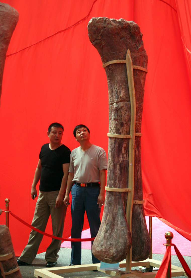 Chinese villagers ate dinosaur 'dragon bones'