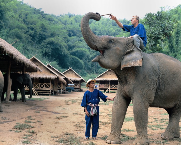 Want to be an elephant trainer?