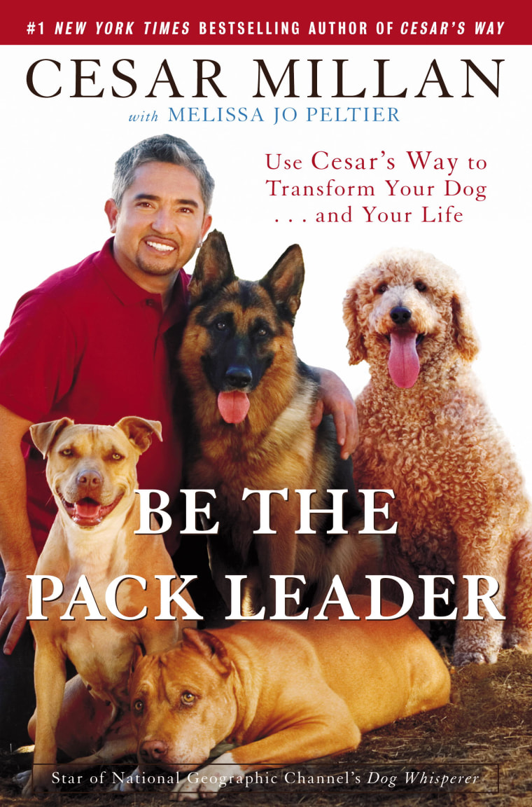 Let your dog know who’s the boss