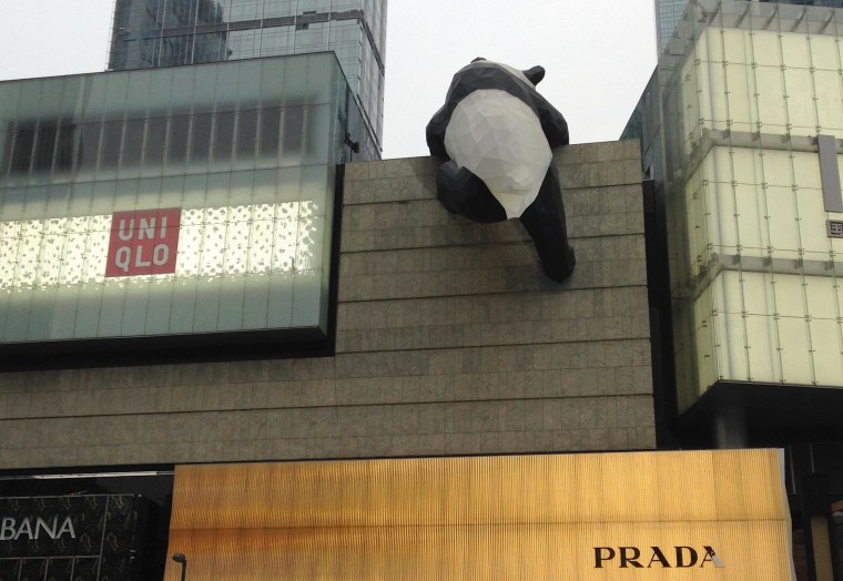 Eats Shoots and Leaves: US-Born Panda Begins New Life in China