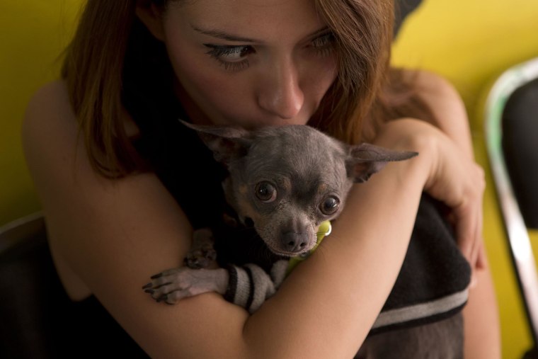 Personhood for Pets? How the Human-Animal Bond Has Evolved