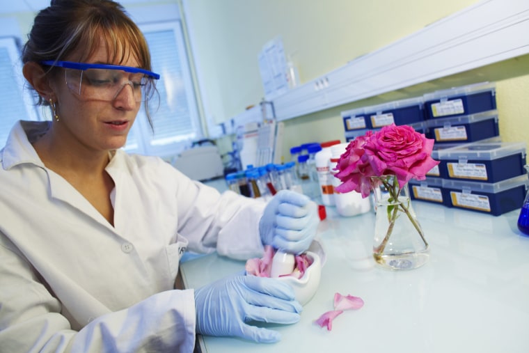 Scientists Figure Out How to Make Modern Roses Smell Sweeter