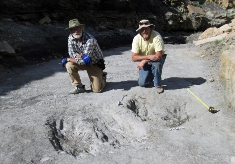 Ground Scrape Marks Hint at Frenzied Sex Habits of Dinosaurs