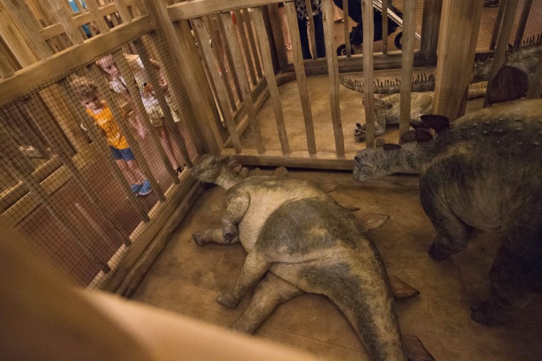 Life-Sized Noah's Ark Revealed to Public in Kentucky