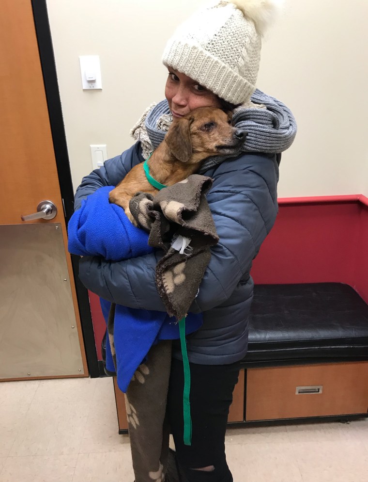 Dog dumped in bag in the woods on frigid night is rescued