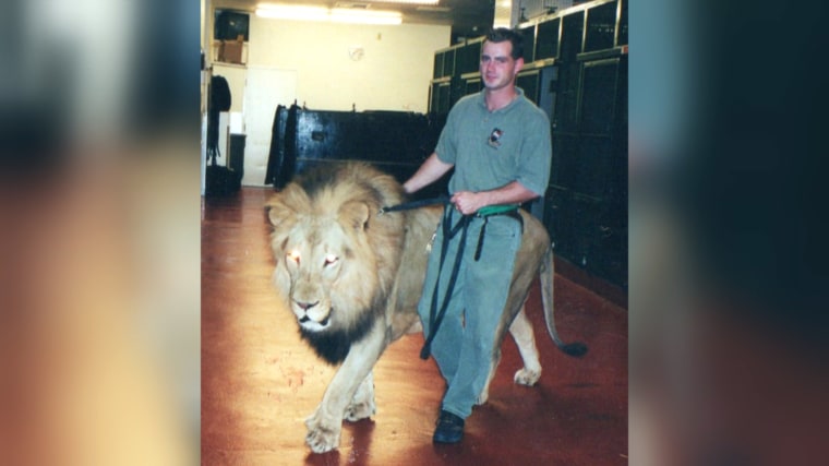 Siegfried and Roy tiger trainer suggests cover-up in 2003 mauling