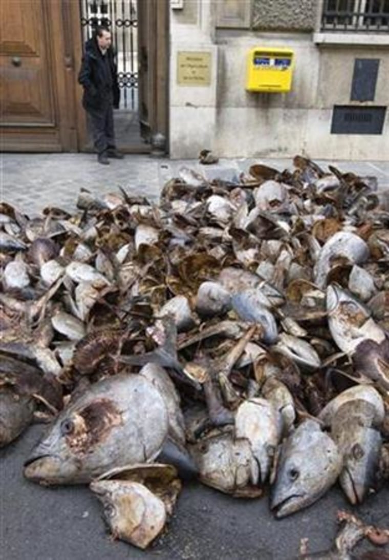 Fishing nations OK cut in Atlantic tuna quota