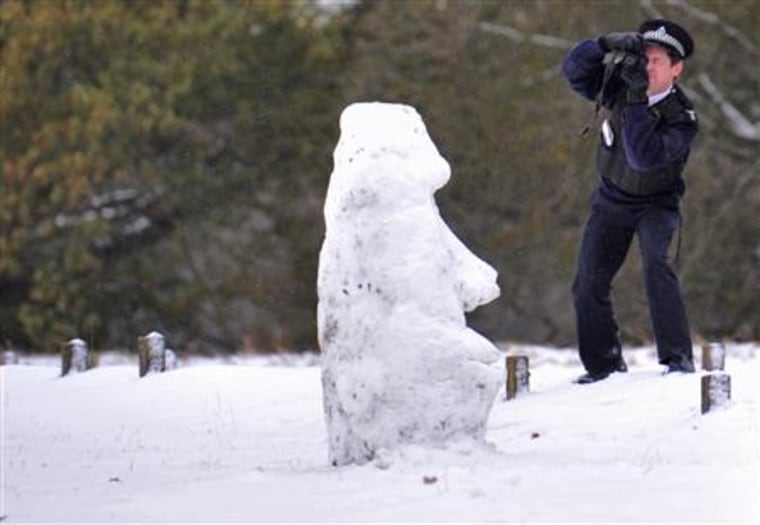 Help, police! Someone stole my snowman