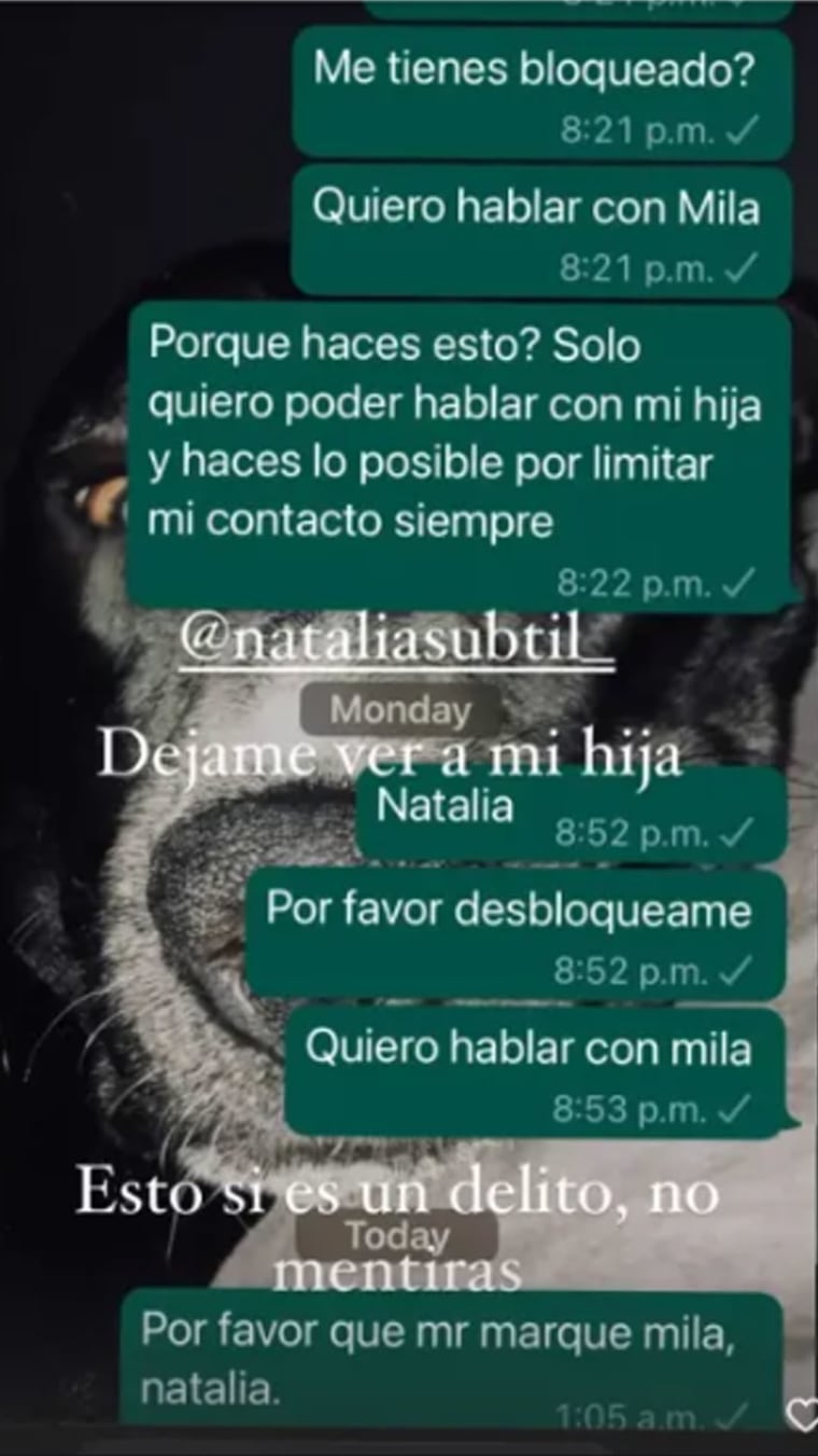 Sergio Mayer Jr. y Natália Subtil ventilan conversaciones privadas