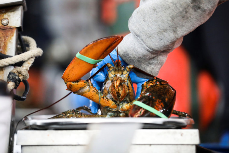 Why Whole Foods Pulled Maine Lobster From Stores And What s Next