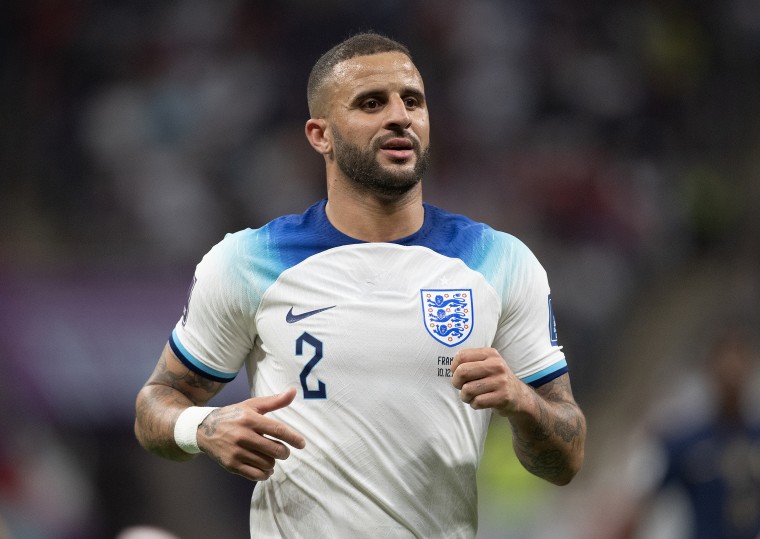 Stray cat adopted by England players in Qatar after World Cup