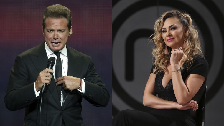 Luis Miguel enfrenta demanda de Aracely Arámbula: ¿Irá a prisión?