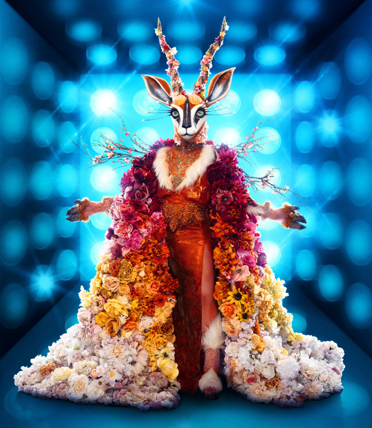  The Masked Singer Season 10 Finale Find Out Who Won And Was Unmasked