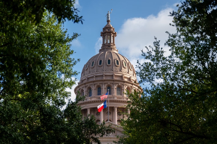 Democratic group targets Texas state House races, seeking to take ...